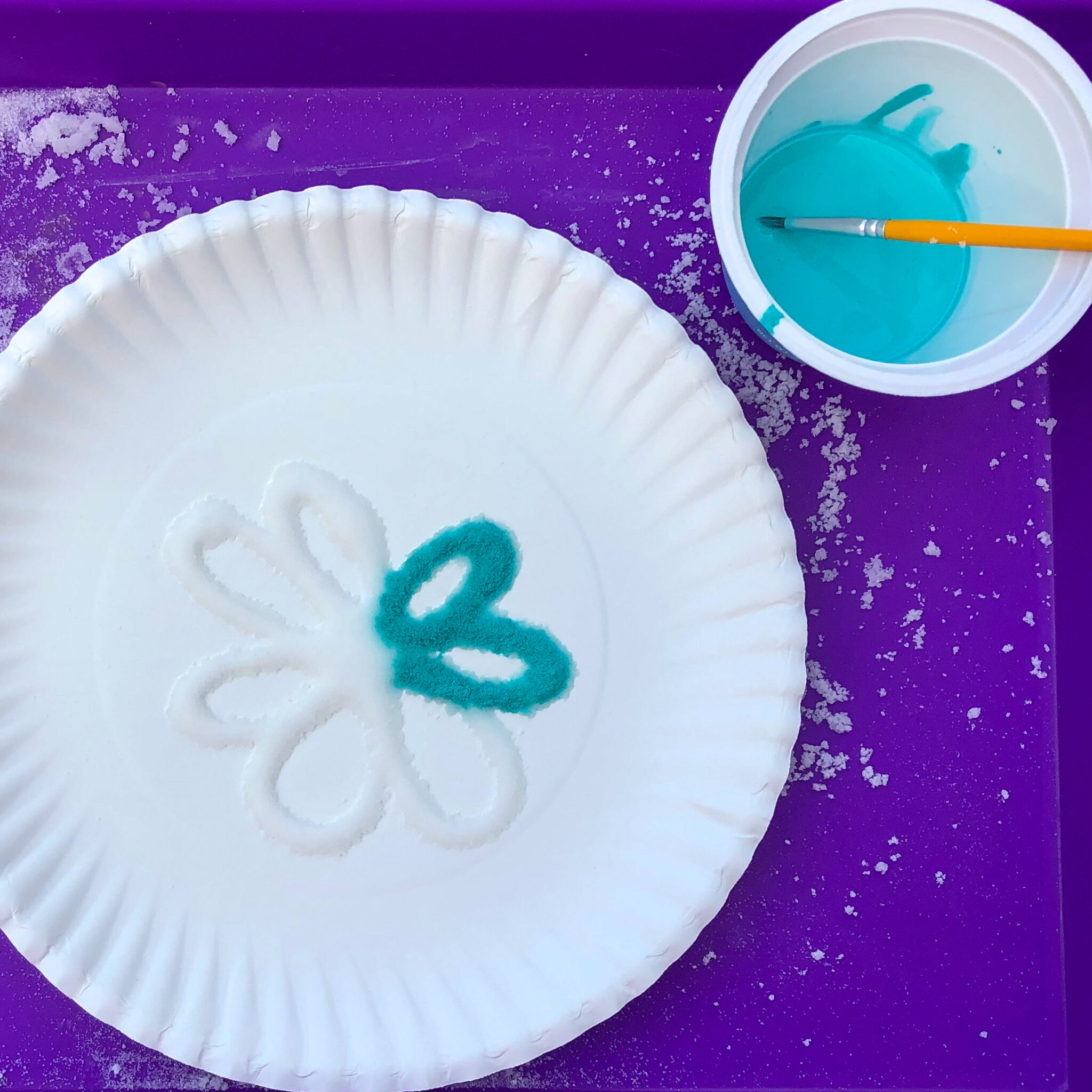 How To Salt Paint – Wild & Precious Family